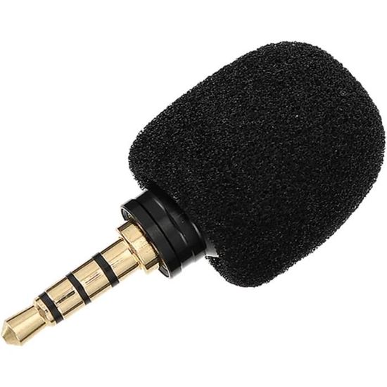 Mini Microphone Pro Microphone Microphone Professionnel Micros Sans Fil ...