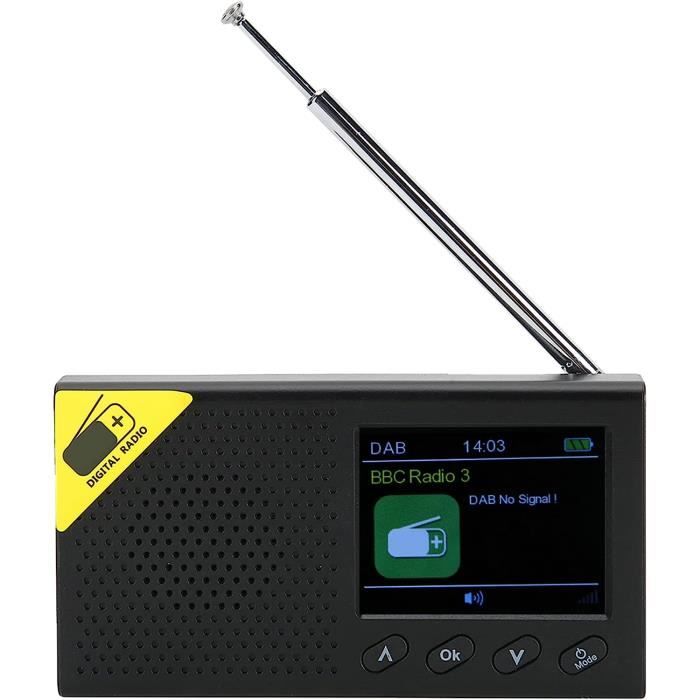 Radio Numérique Portable, Sortie Stéréo À Écran Lcd 2,4 Pouces, Radio ...