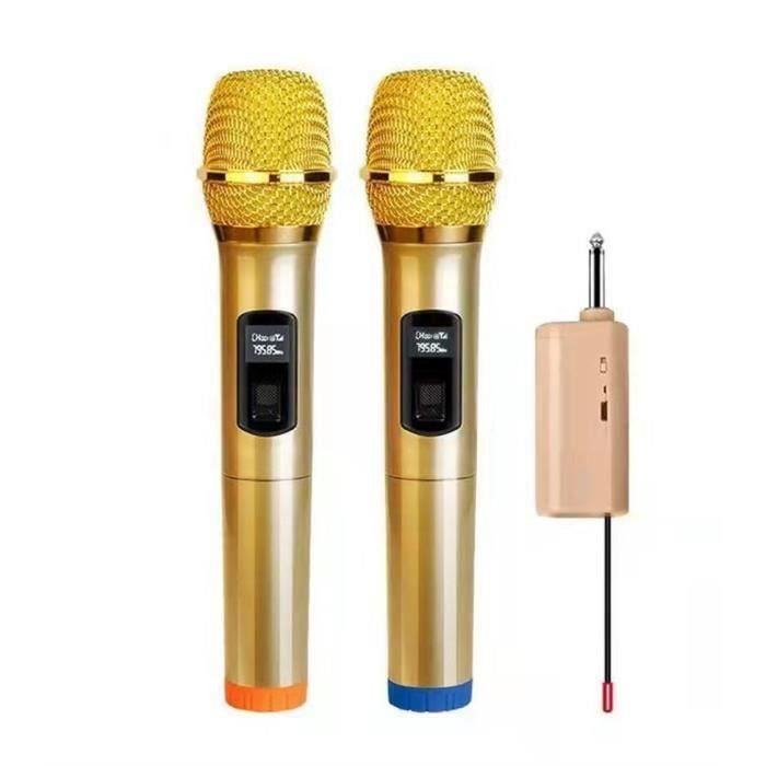 Microphone,Système de Microphone Portable sans fil UHF, 2 micros, avec ...
