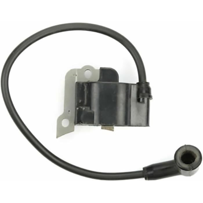 Module De Bobine D'Allumage For Souffleur De Feuilles À Essence Echo Backpack Eb650[L1982 ...