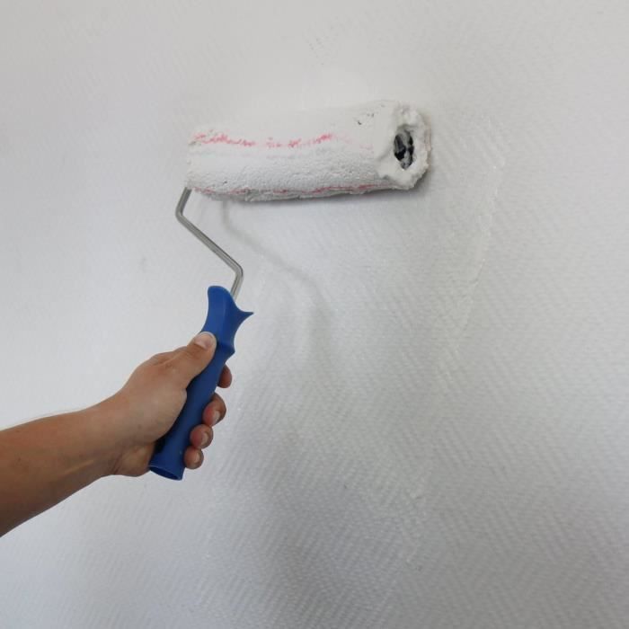 ® Grand Rouleau de Peinture 1x, pour travaux de Peinture à Grande échelle Autour de la Maison et ...