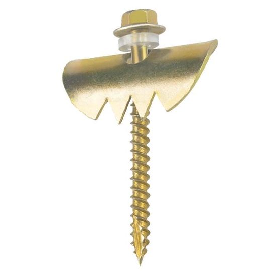 Clous de Fixation de Clôture en Acier Inoxydable - FDIT - Lot de 50 ...