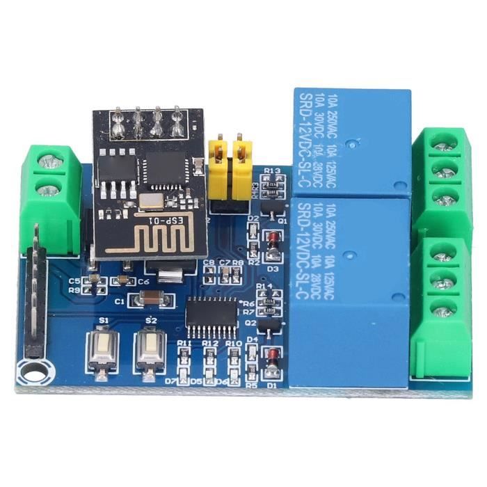 Module de relais WiFi double canal - HURRISE - ESP8266 - 10A 250V AC - Contrôle sans fil - Smart ...