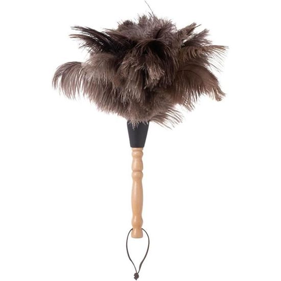Plumes Naturelles Plumeau Moelleux Écologique Réutilisable À Long ...