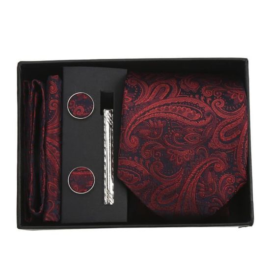 GOTOTOP Cravate pour hommes 5 pièces ensemble de cravates pour hommes ...
