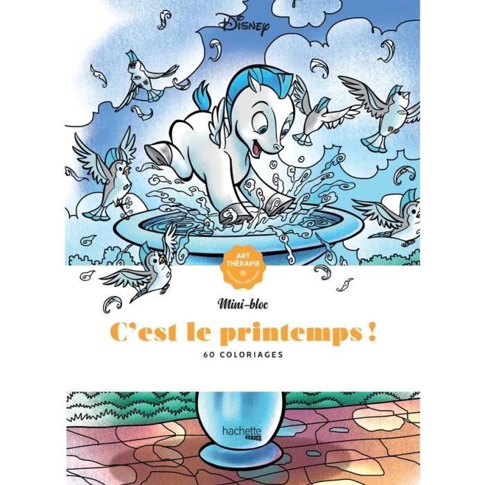 LIVRE DE COLORIAGE - Mini bloc Disney C'est le printemps ! - Cdiscount ...