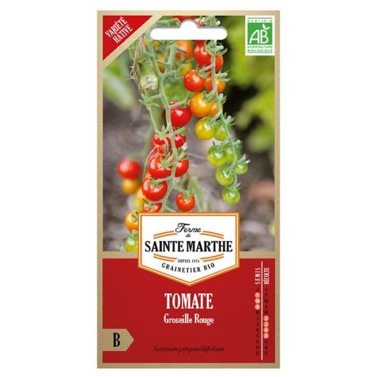 La ferme Sainte Marthe - 50 graines AB - Tomate groseille rouge type ...