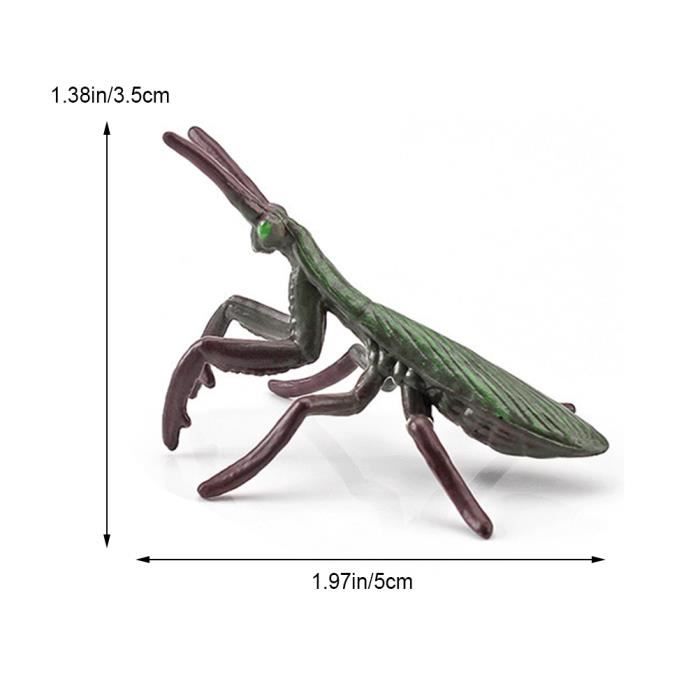 Modèle d'insecte de Simulation Figurines d'insectes réalistes, jouets ...