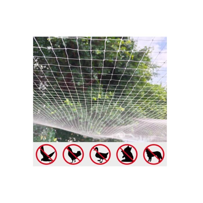 Filet Anti Oiseaux - Blanc - 5m x 10m - Polyéthylène Haute Densité ...