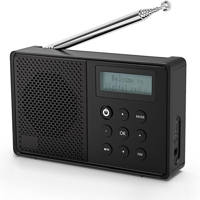 Radio DAB Portable WOVTE DAB+Radio numérique rechargeable FM avec ...