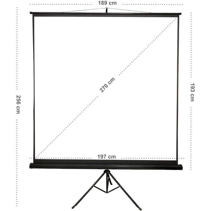 Écran De Projection Sur Pied 105 Pouces, Portable Pliable, Écran Pour ...
