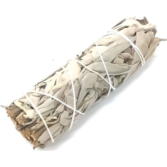 Fagot de sauge - Apiana - Californie - 11cm - 25-35g - Feuilles séchées ...