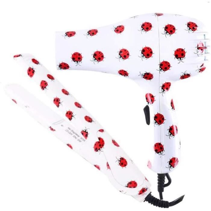 Forte Sèche-Cheveux Et Paquet De Lisseur De Cheveux, 850W Sèche-Cheveux ...