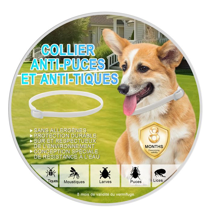 Collier Anti Puces pour Chien, Réglable Résistant à l'eau Collier Chien ...