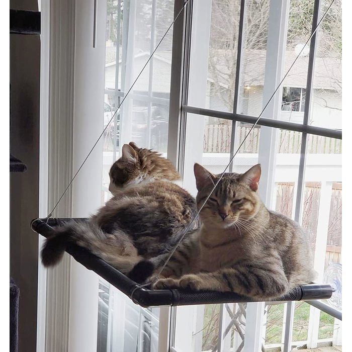 Acarys Hammock for large cats up to 20 kg, sun lounger, pet bed, for ...