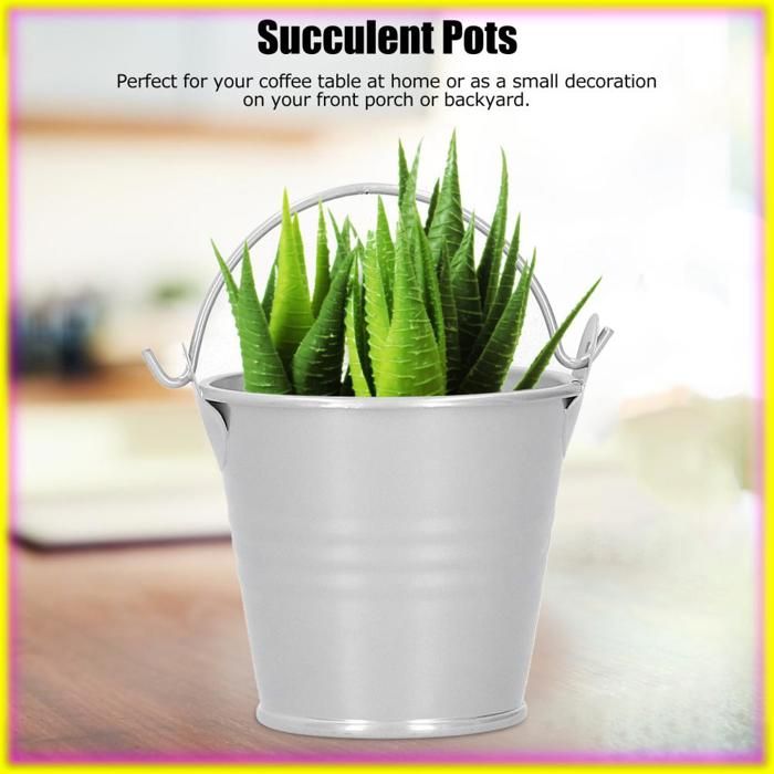 Keenso Pot de fleurs en fer 10pcs Pot de Fleur Mini Pot de Plantes ...