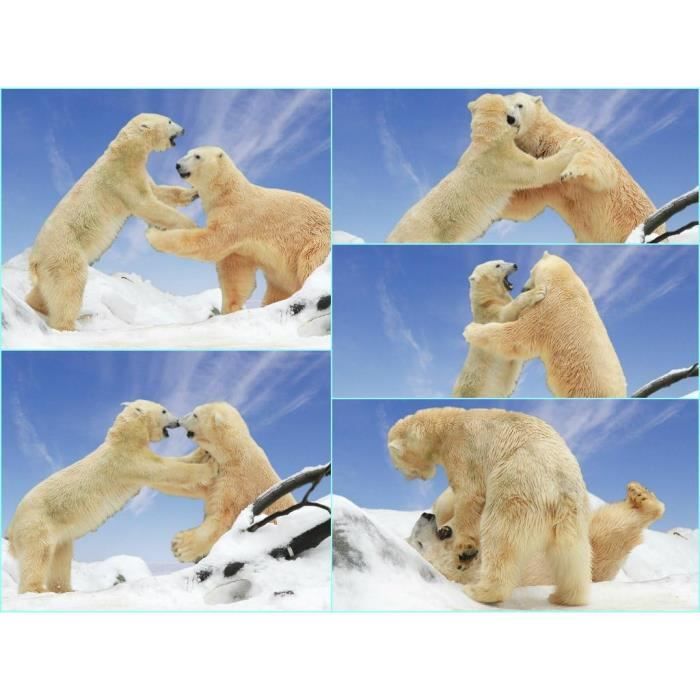 Carte Postale En 3D Avec Image Changeante Avec Ours Polaires De La ...