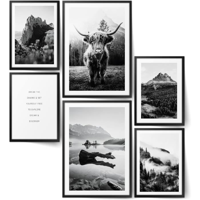 Ensemble De Posters Highland Cow Bw - Élégants Tableaux Double Face ...