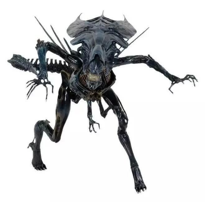 Alien vs Predator Figurine 15-inch Alien - Cdiscount Jeux - Jouets