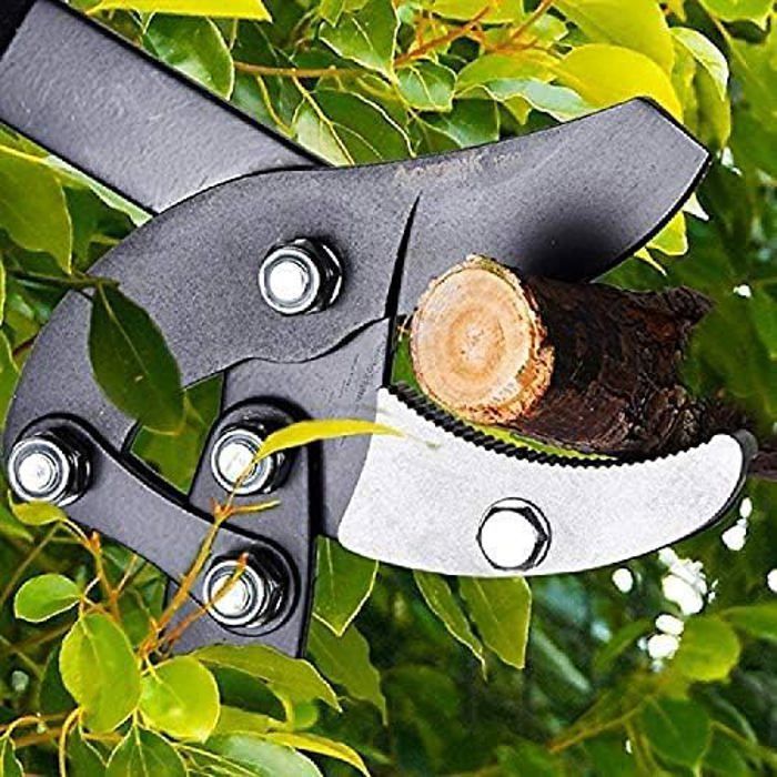 Ébrancheur Cisaille, élagueuses Télescopiques à Enclume 62-100 Cm ...