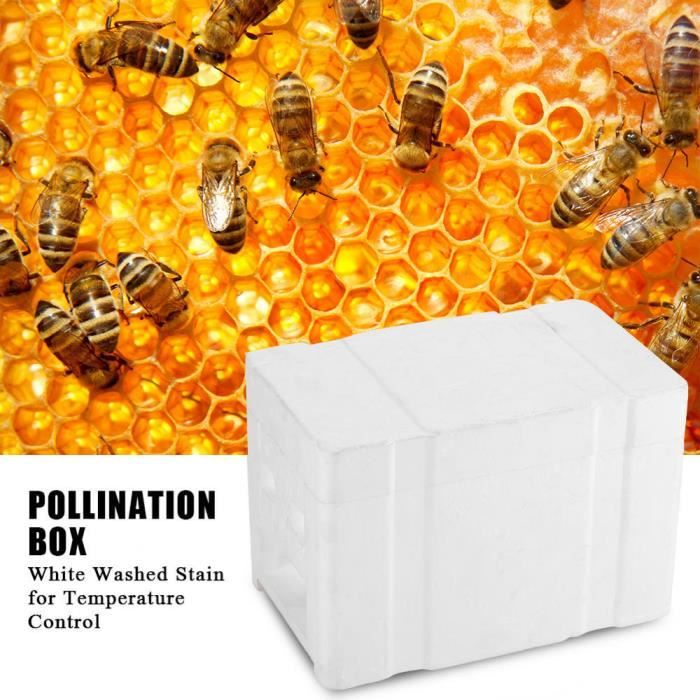 Boîte d'accouplement d'abeilles en mousse avec grille, étui d'élevage ...