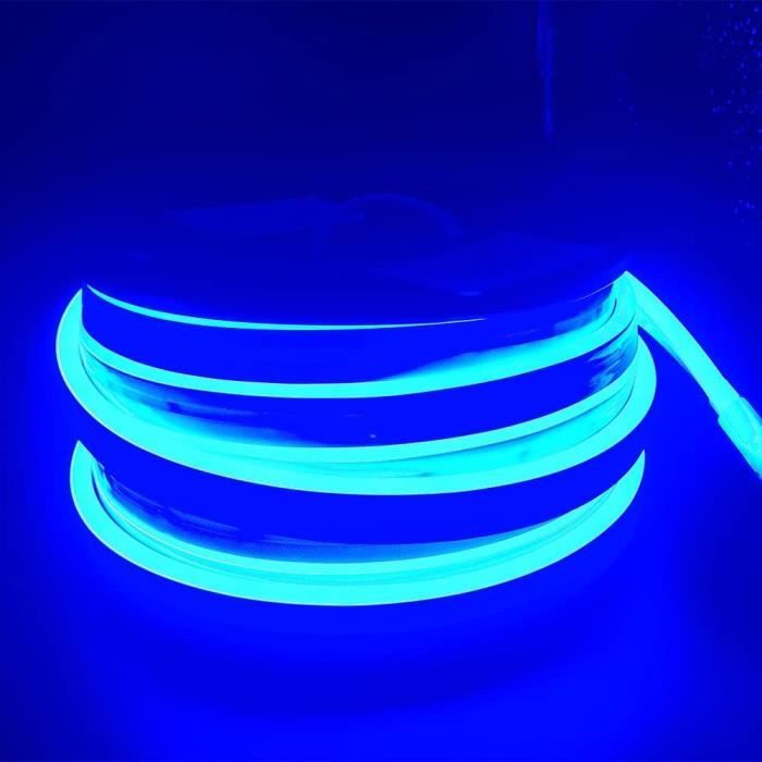 Led Neon Light, Bleu 12V Silicone Décoration De Signe De Bricolage ...