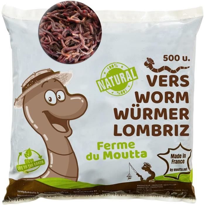 Composteur de Vers de Compost - TRAHOO - 250 Gr de Vers de Terre ...