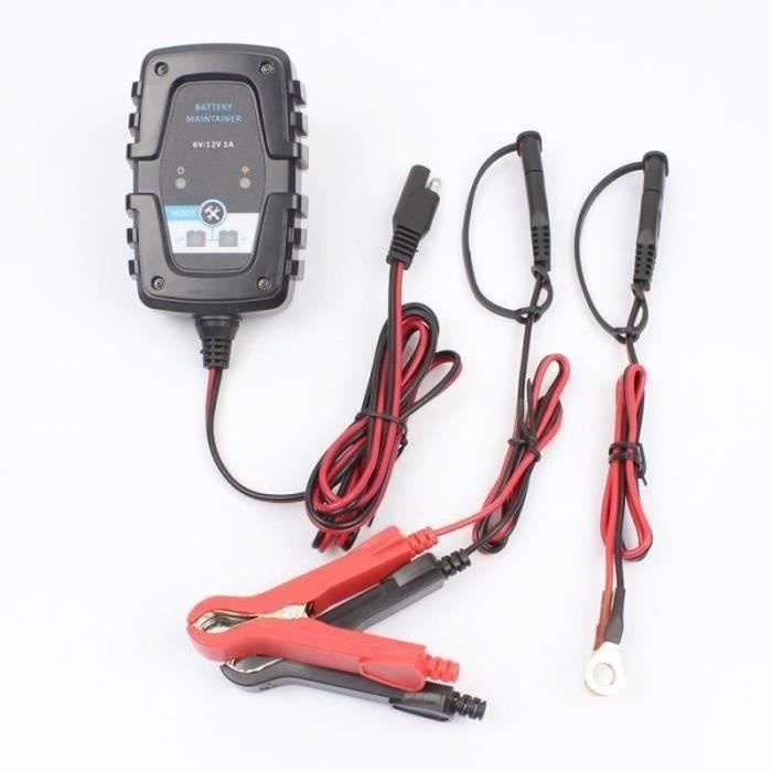 Chargeur intelligent de chargeur de batterie automatique de 6V 12V 1A ...