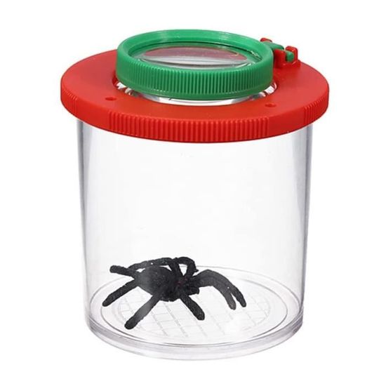 Boîte Loupe À Insecte Visionneuse D'insectes Bi-directionnelle À ...