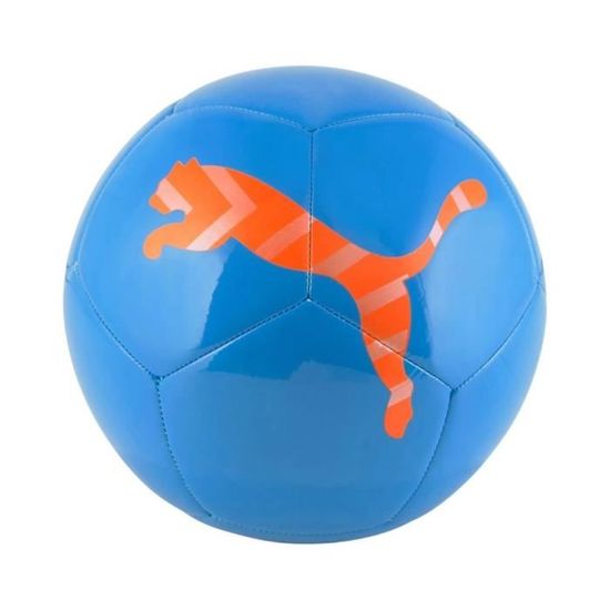 Balons PUMA Icon Bleu - Cdiscount Sport