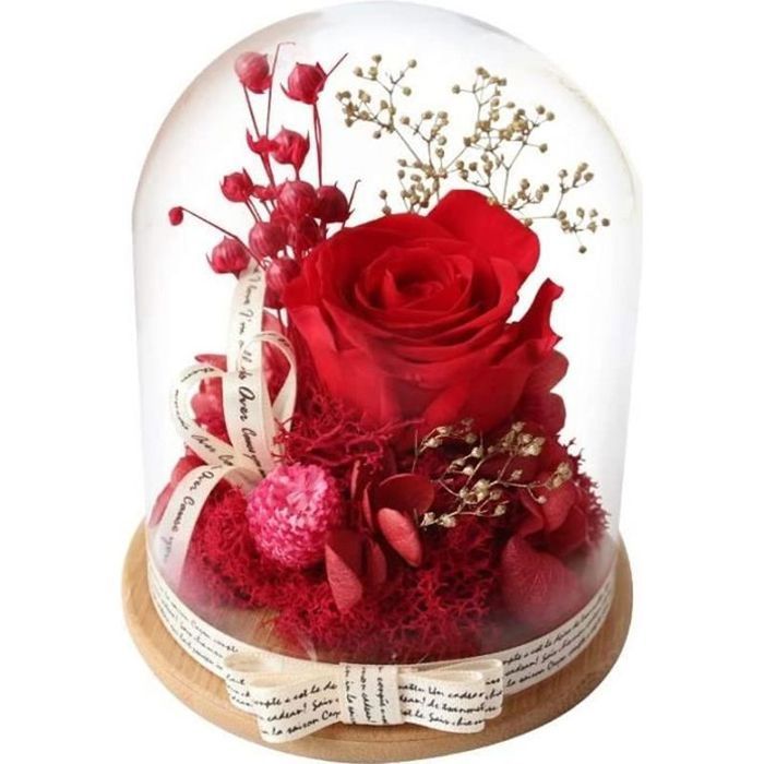 FLEUR STABILISEE - FLEUR ETERNELLE Naturelle Rose Eternelle sous Rose ...