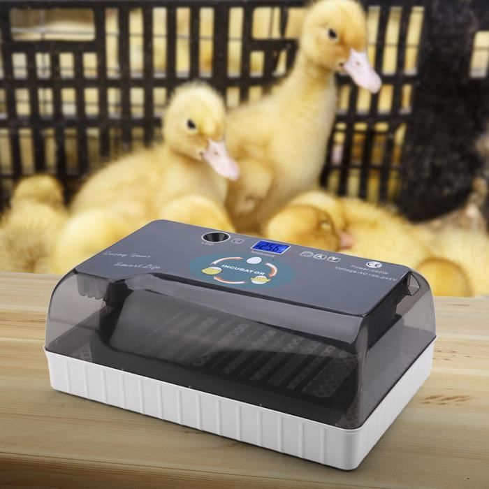Incubateur 12 Oeufs Automatique Couveuse Oeuf Numérique avec Tournage ...