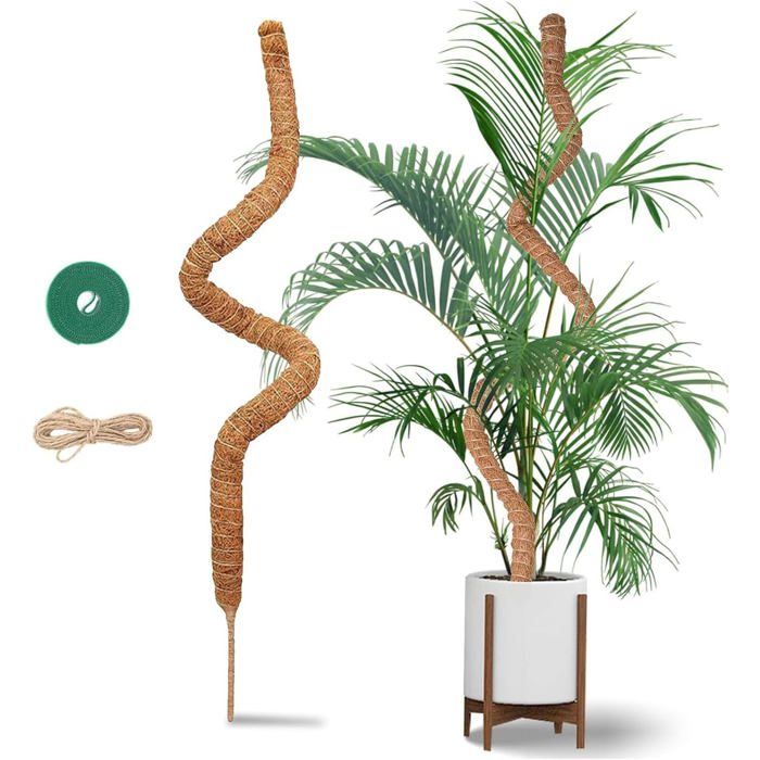 120cm Tuteur Monstera - Tuteur Plante Grimpante - Tuteur Coco Flexible ...