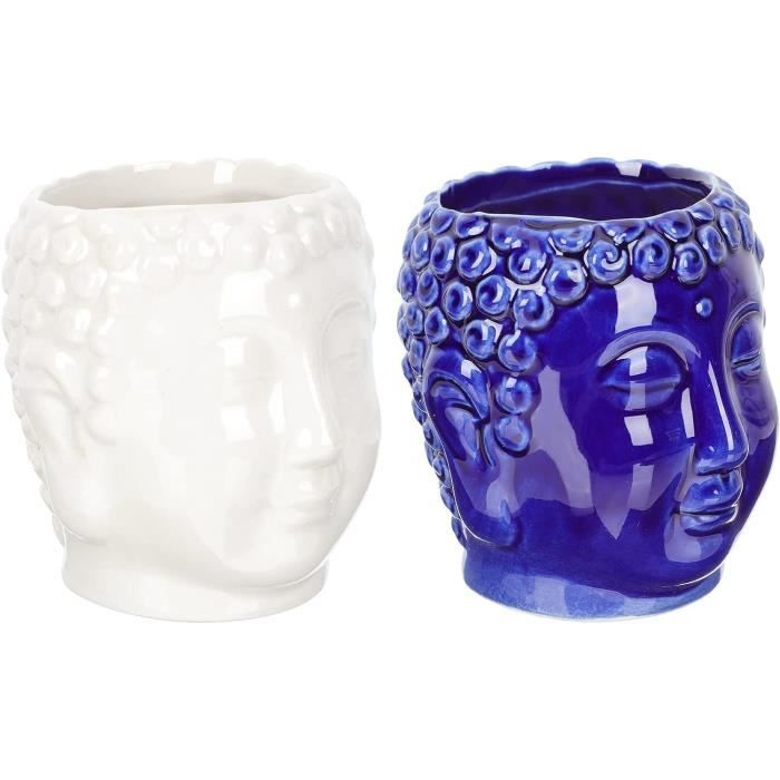 Pot De Fleur 2Pcs Pots Fleurs Plante Verte Plante Fleurs Succulents ...