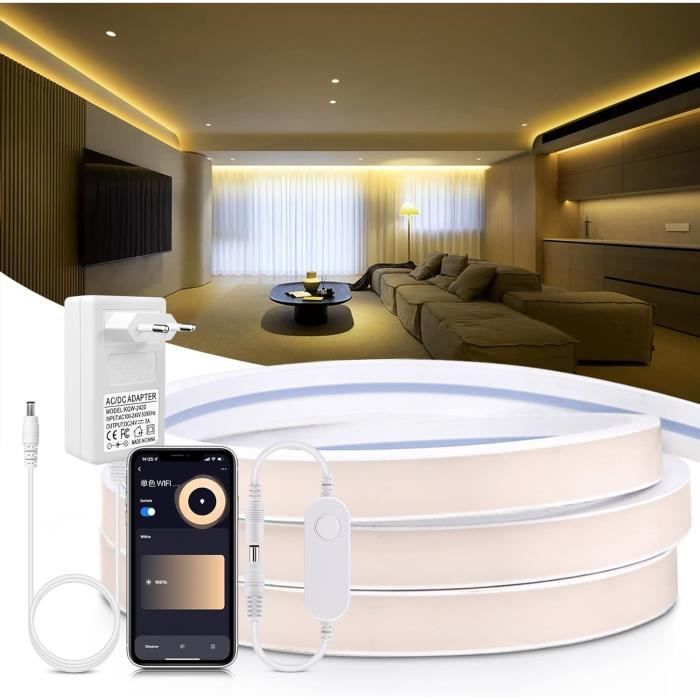 Bande Led Néon 5 M, Alexa Smart Wifi, Blanc Chaud, 3000 K, Contrôle Par ...