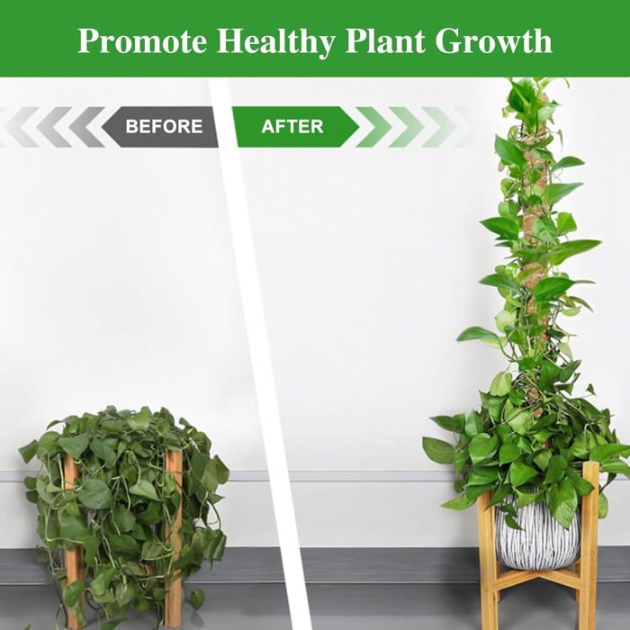 120cm Tuteur Monstera - Tuteur Plante Grimpante - Tuteur Coco Flexible ...