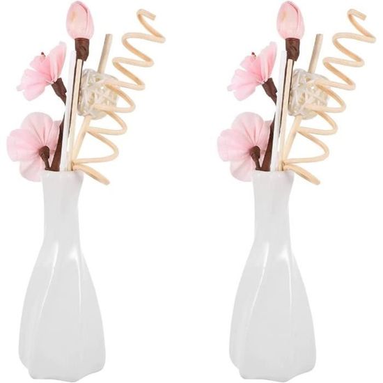 2 Ensembles Des Bâtons De Diffuseur De Parfum Rotins Pour Diffuseurs De Fleurs Fleur Purifiant ...