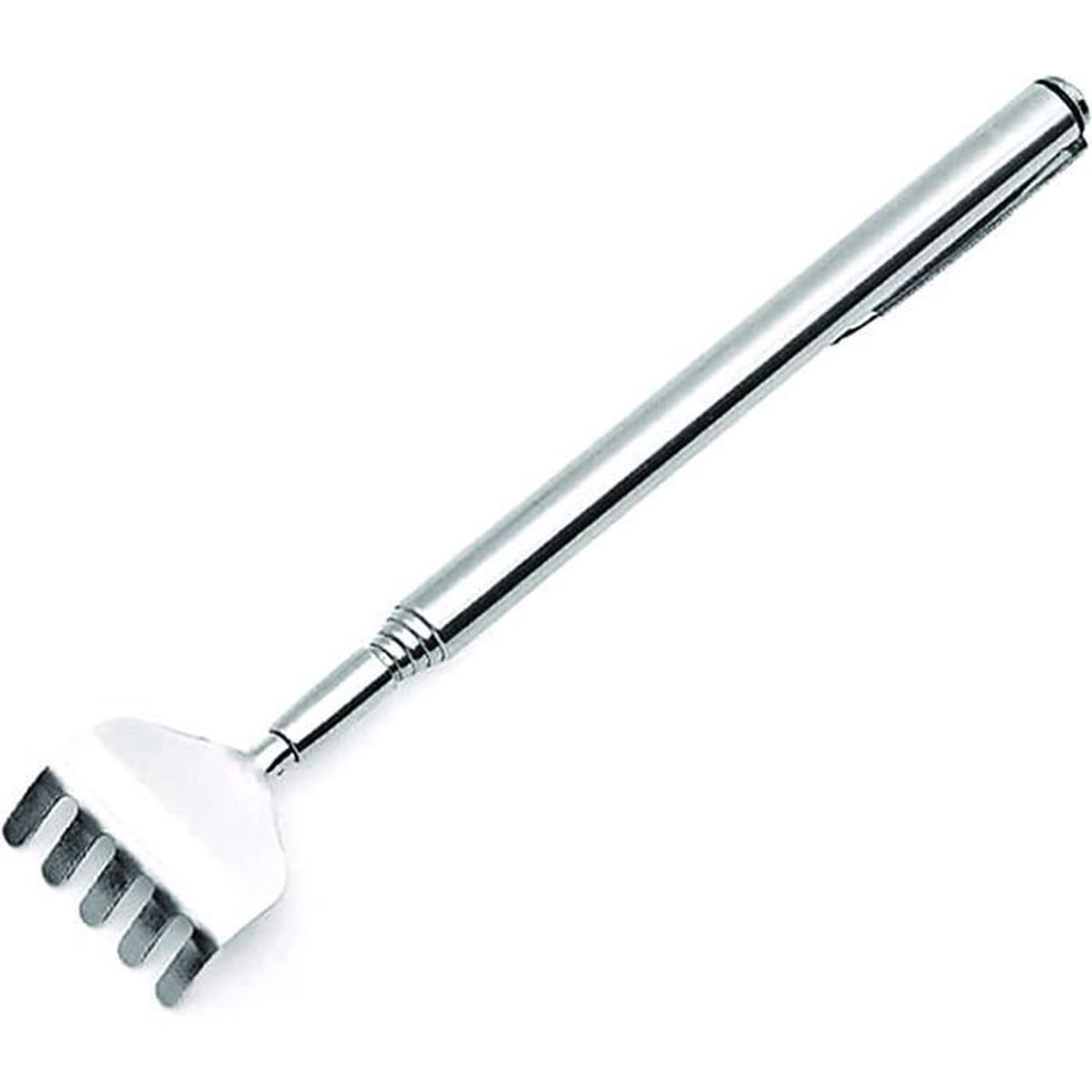 Gratte-dos Extensible Portatif en acier inoxydable, Grattoir pour Le ...