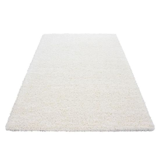 Teppium Tapis shaggy à poils longs unicolore Tapis unicolores pour le salon [Ivoire, 200 x 290 ...