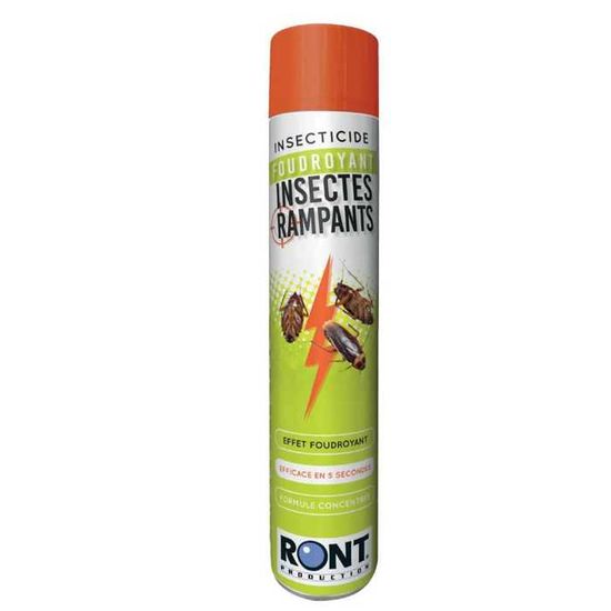 Insecticide insectes rampants aérosol 1000 ml - Cdiscount Au quotidien