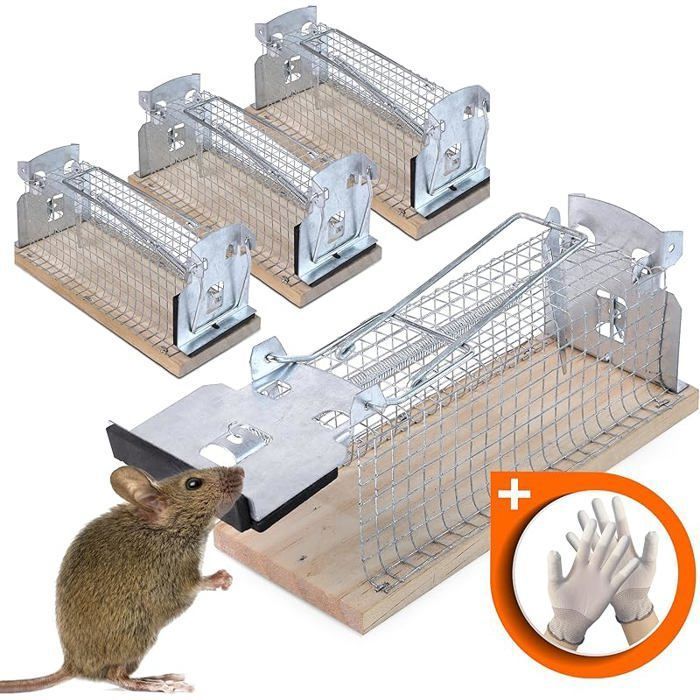 Pige Souris Castoramanull