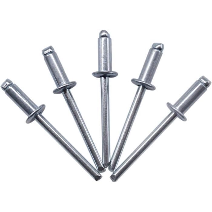 Lot De 100 Rivets Aveugles 5,0 X 14 Mm, Tête Bombée Ouverte, Rivets Pop ...