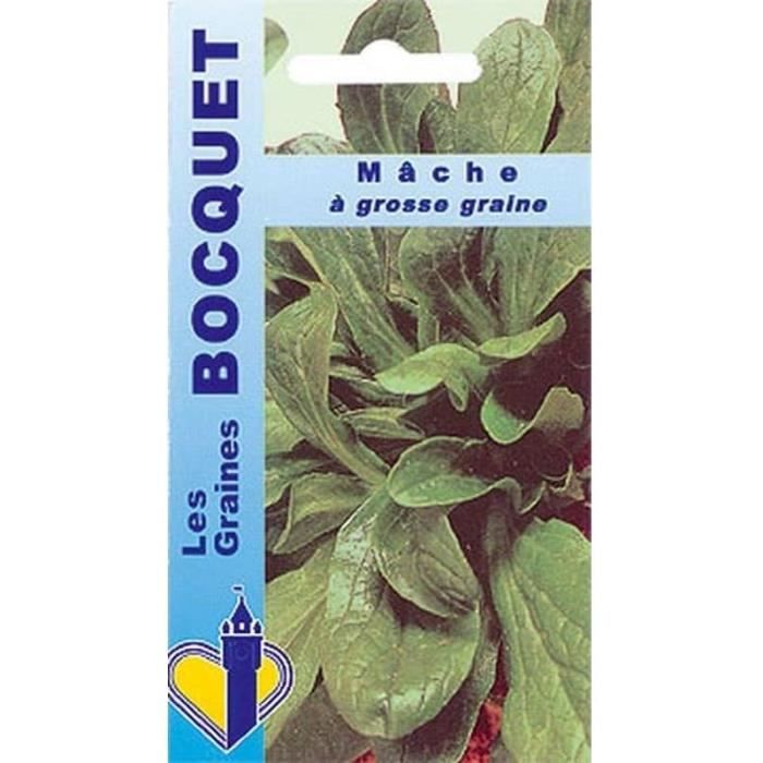 Sachet de graines de Mâche à grosse graine - 5 g - légume feuille - LES ...