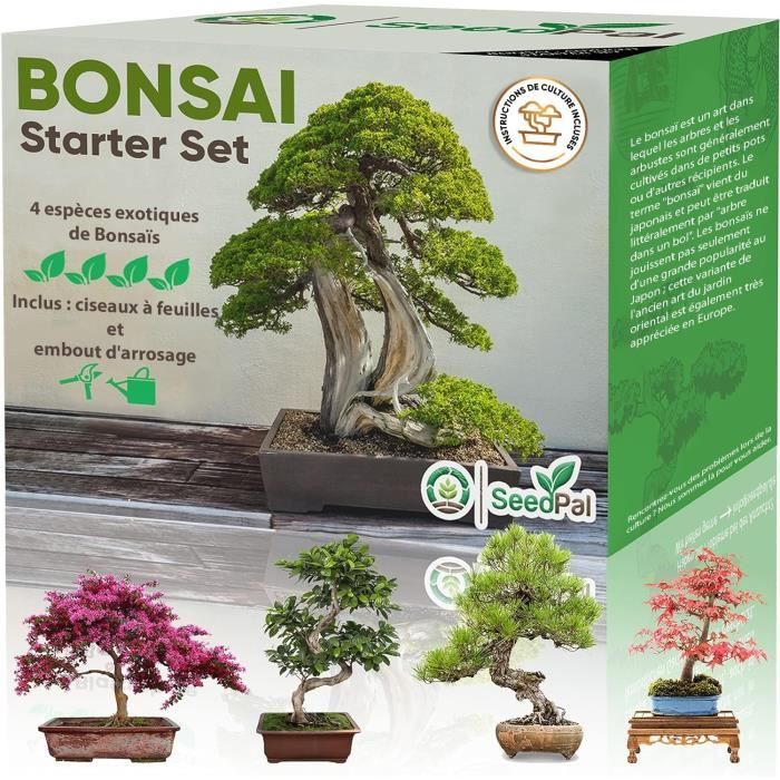 Easy Bonsai Kit - Plantes Kit De Culture Bonzaï 4 Graines Différentes ...
