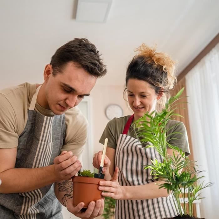 Ensemble Mini Outils de Jardinage 3 pièces Outils Jardinage Pelle ...