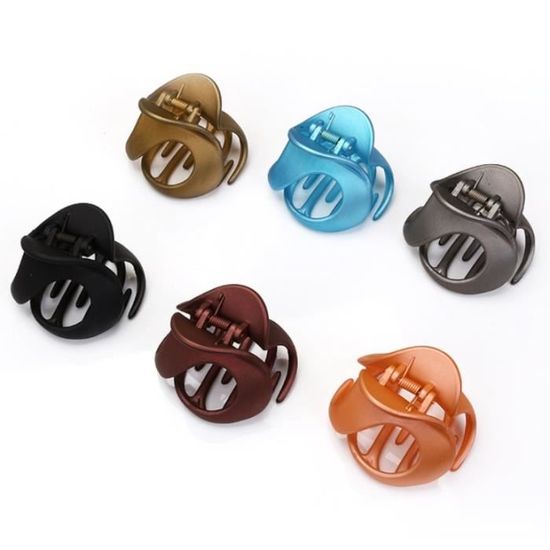 Pinces à Cheveux,6PCS Mini Pinces à Cheveux,Pinces à Cheveux ...