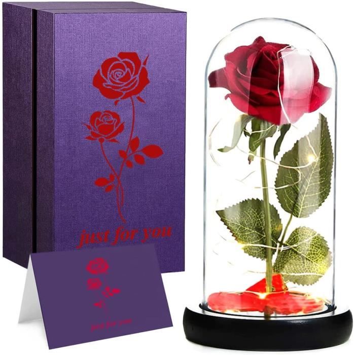 Rose Eternelle sous Cloche, la Belle et la Rose, Fleur Eternelle avec ...