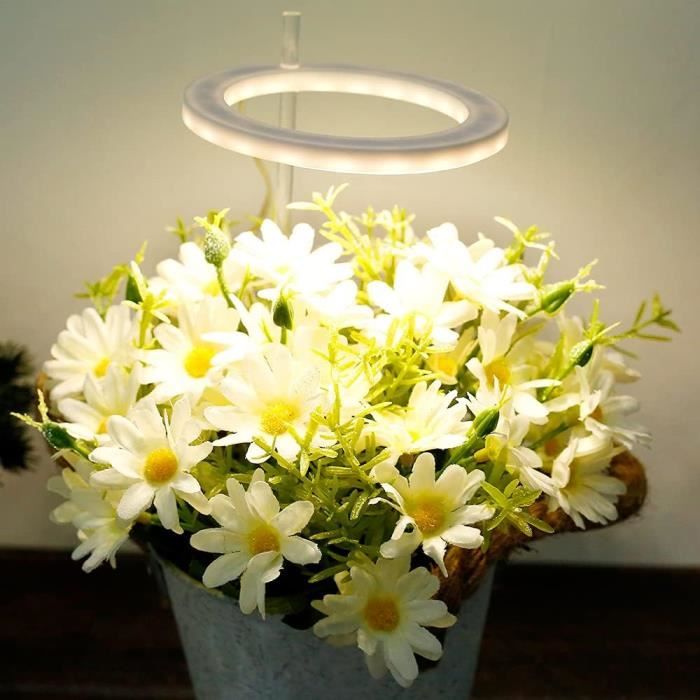 Lampe LED de Croissance Idéal pour Plante Intérieure USB Lampe ...