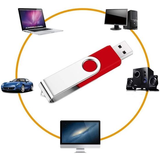 Lot de 10 Clés USB SRVR 8Go Multicolore - Mémoire Flash - USB 2.0 ...