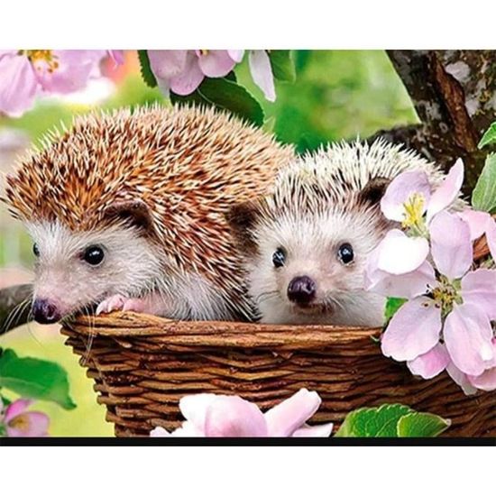 Diamond Painting Kit Kit Complet,Mosaïque Point De Croix Broderie Diy ...